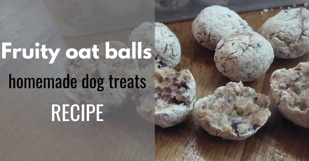 Fruity Oat Balls: 3 Ingredient, Healthy Dog Treats Recipe - Canine ...