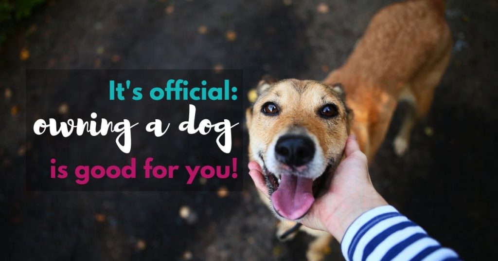 It's official: owning a dog is good for you! - Canine Compilation