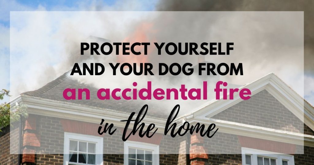 How To Protect Your Pet From An Accidental House Fire - Canine Compilation