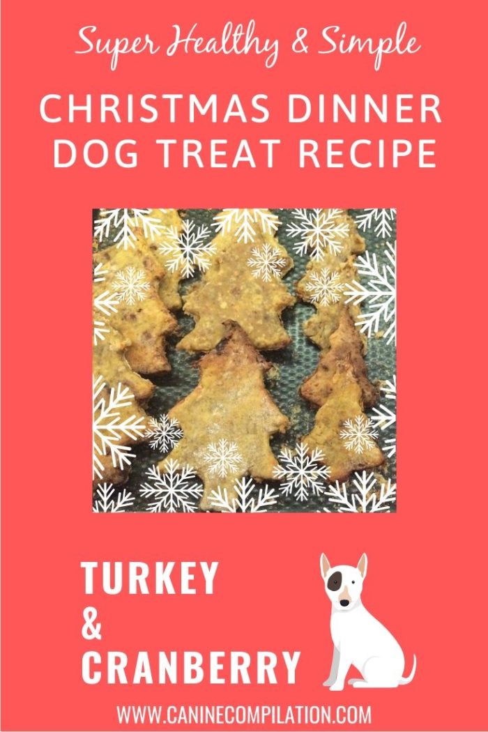 Christmas Dinner For Dogs Recipe: Turkey & Cranberry Dog Treats ...
