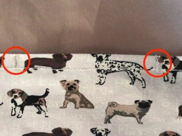 Matching Dog Bandana And Face Mask (For You!) - Canine Compilation