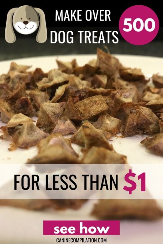 Pyramid Pan Dog Treats Meat Recipe - Canine Compilation