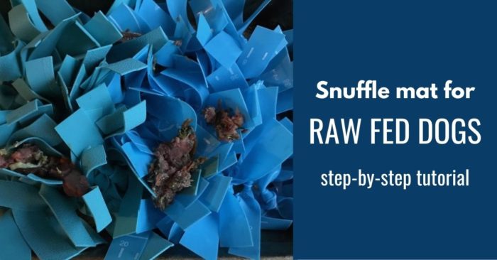 Make a dishwasher-washable, silicone snuffle mat for your dog - Canine ...