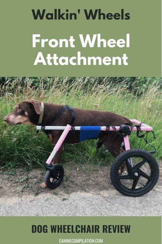 Dog Wheelchair - Walkin' Wheels Front Wheel Attachment Review - Canine ...