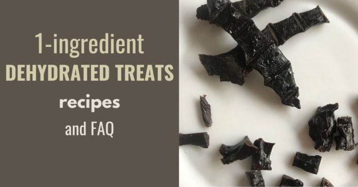 How To Make Dehydrated Treats For Dogs and FAQ - Canine Compilation