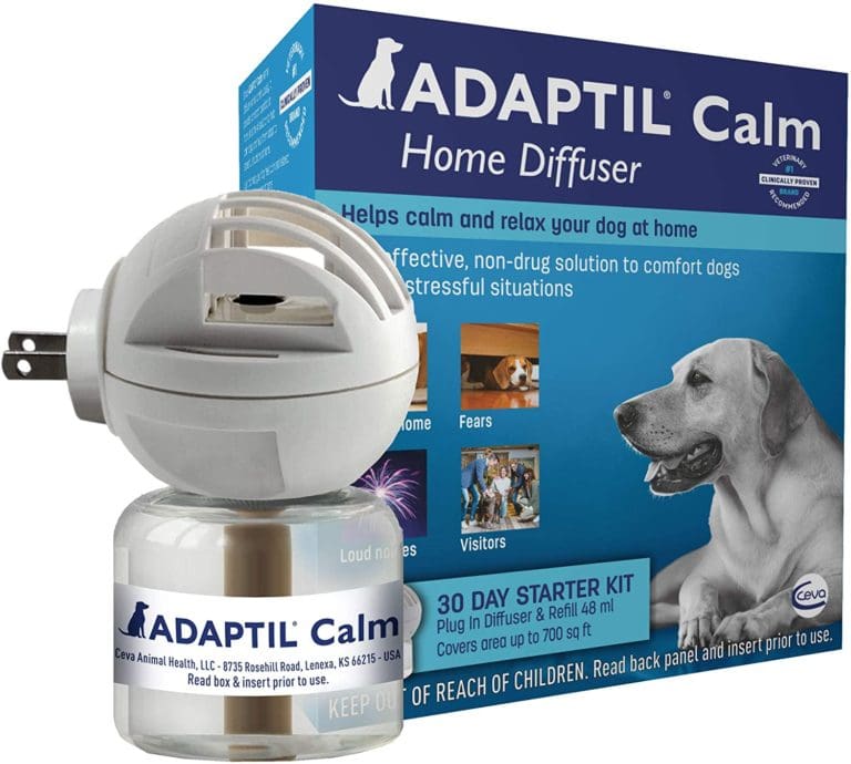 How Do I Calm My Dog During Fireworks? - Canine Compilation