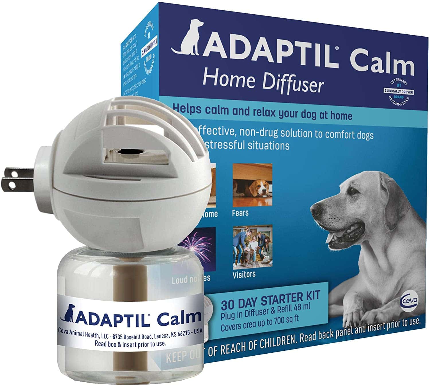 Best Gadgets And Products For Dogs Left At Home - Canine Compilation
