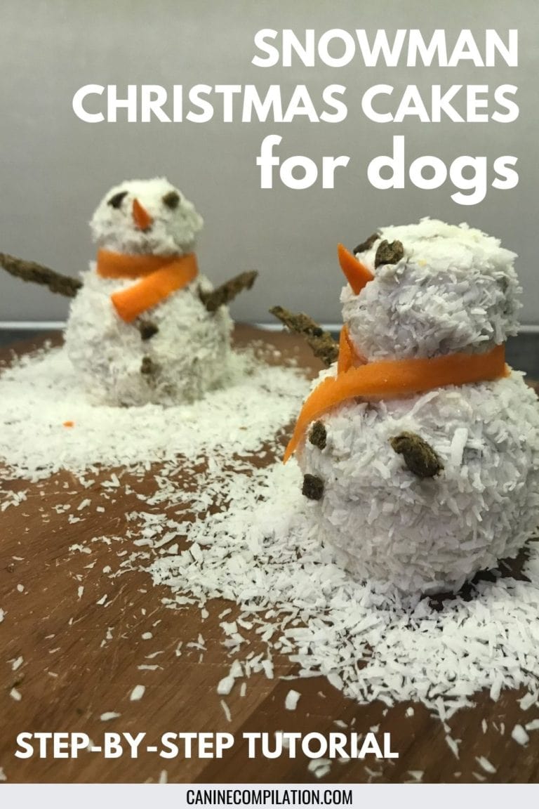 Healthy Snowman Christmas Cake For Dogs - Easy Tutorial - Canine ...