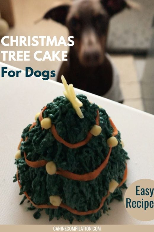 Easy Recipe For A Fantastic, Christmas Tree Cake For Dogs - Canine ...