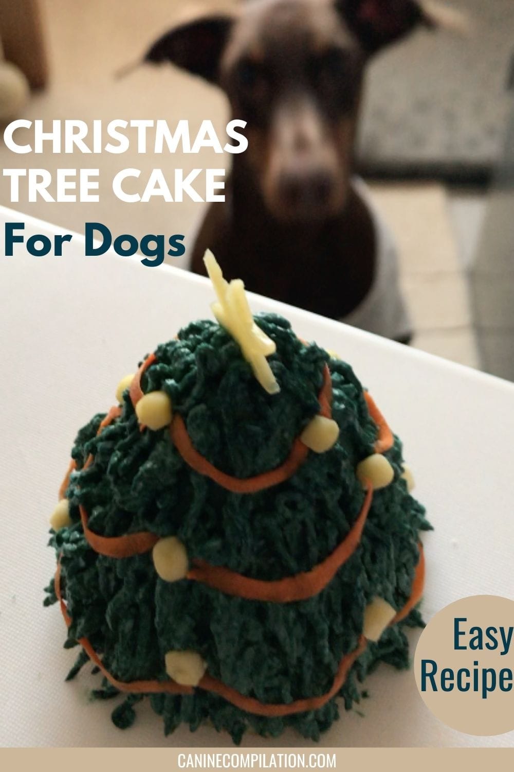 Easy Recipe For A Fantastic, Christmas Tree Cake For Dogs - Canine ...