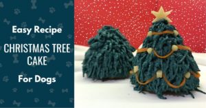Easy Recipe For A Fantastic, Christmas Tree Cake For Dogs - Canine ...
