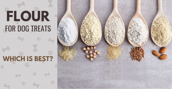 Flour For Dog Treats Recipes - What is best? - Canine Compilation