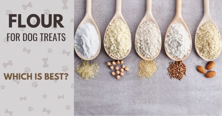 Flour For Dog Treats Recipes - What is best? - Canine Compilation