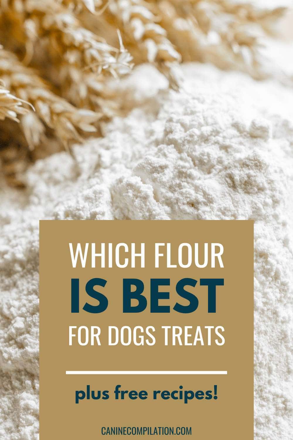 Flour For Dog Treats Recipes - What is best? - Canine Compilation