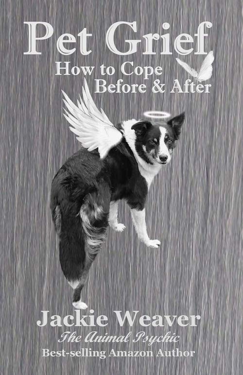 Grieving The Loss Of A Dog - Canine Compilation