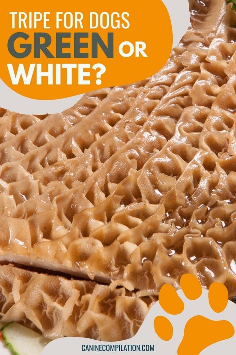 Bleached Tripe vs Green Tripe for Dogs: What's Best And Why? - Canine ...